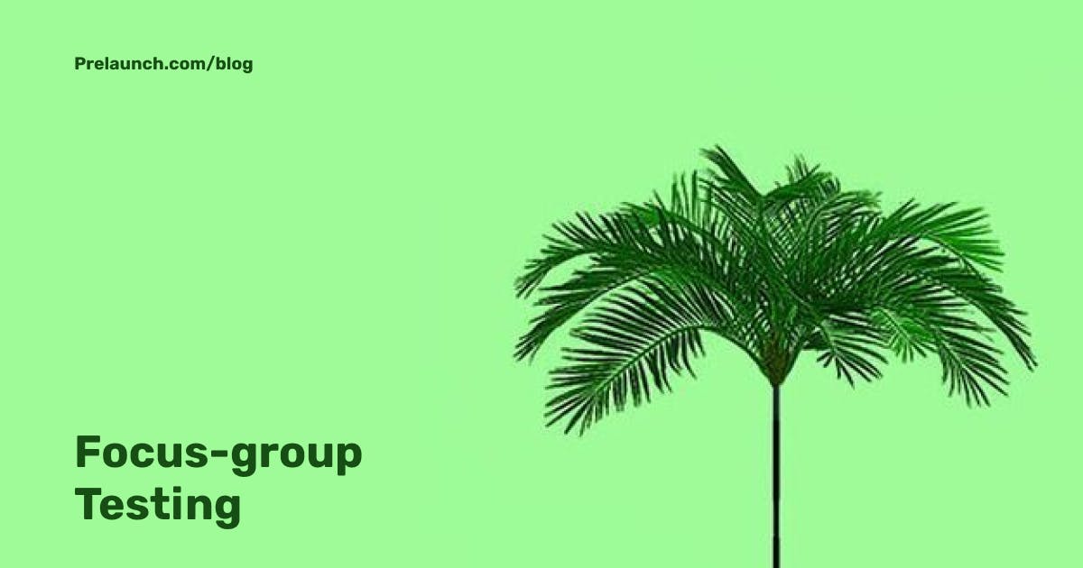Focus Group Testing: What It Is and How to Run a Focus Group Test