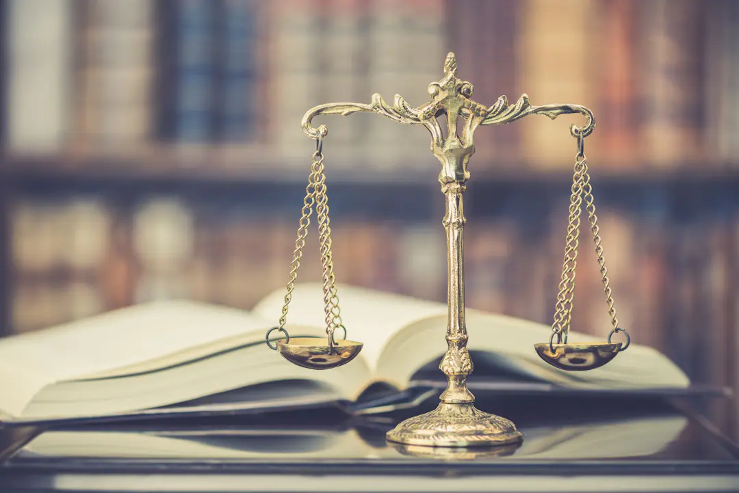Law & Government High School Enrichment | Prelum | Prelum