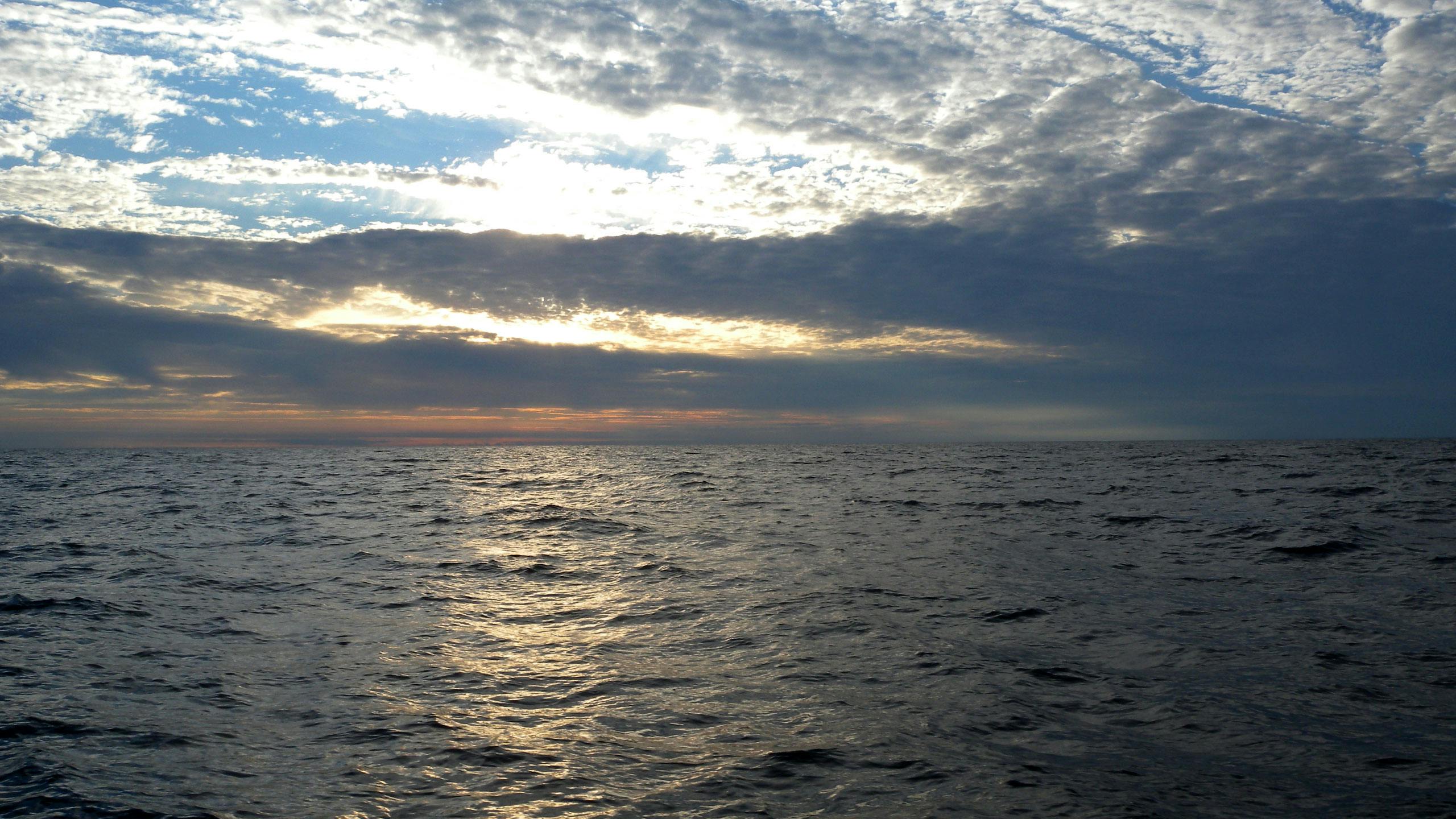 Projects: Erebus - Principle Power, Inc.