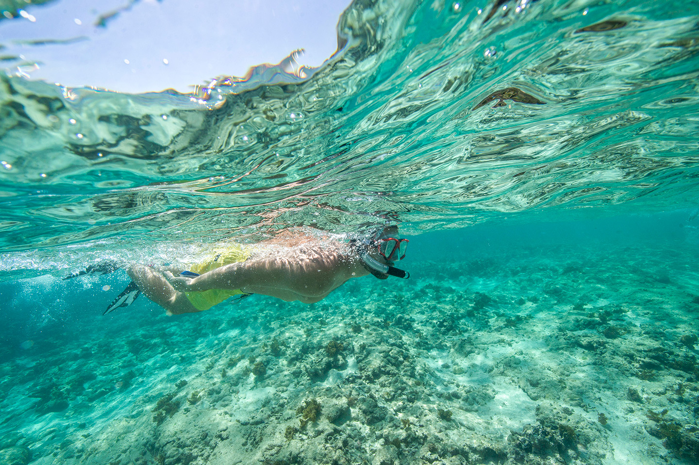 Creole Reef - Dominican Republic Tourism - Official Website