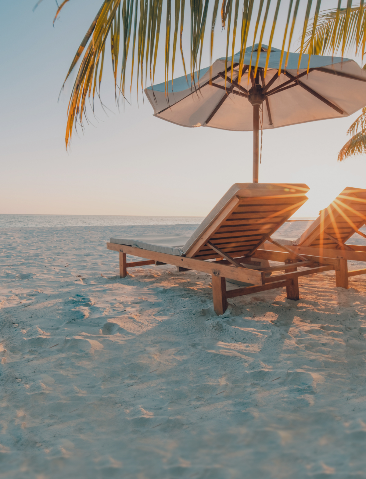 Privilee - Sign Up To Qatar's Ultimate Lifestyle App