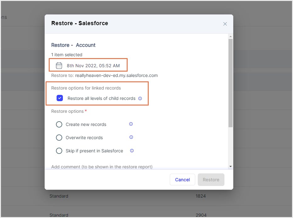 Salesforce Data Recovery: Admin's Guide