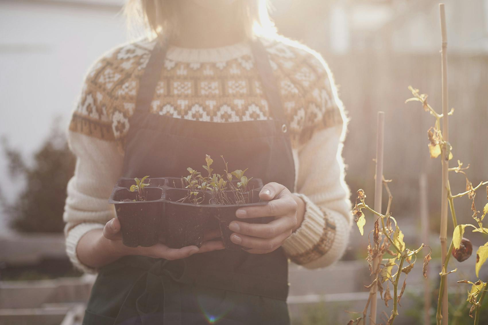 How to get an environmental job | Prospects.ac.uk