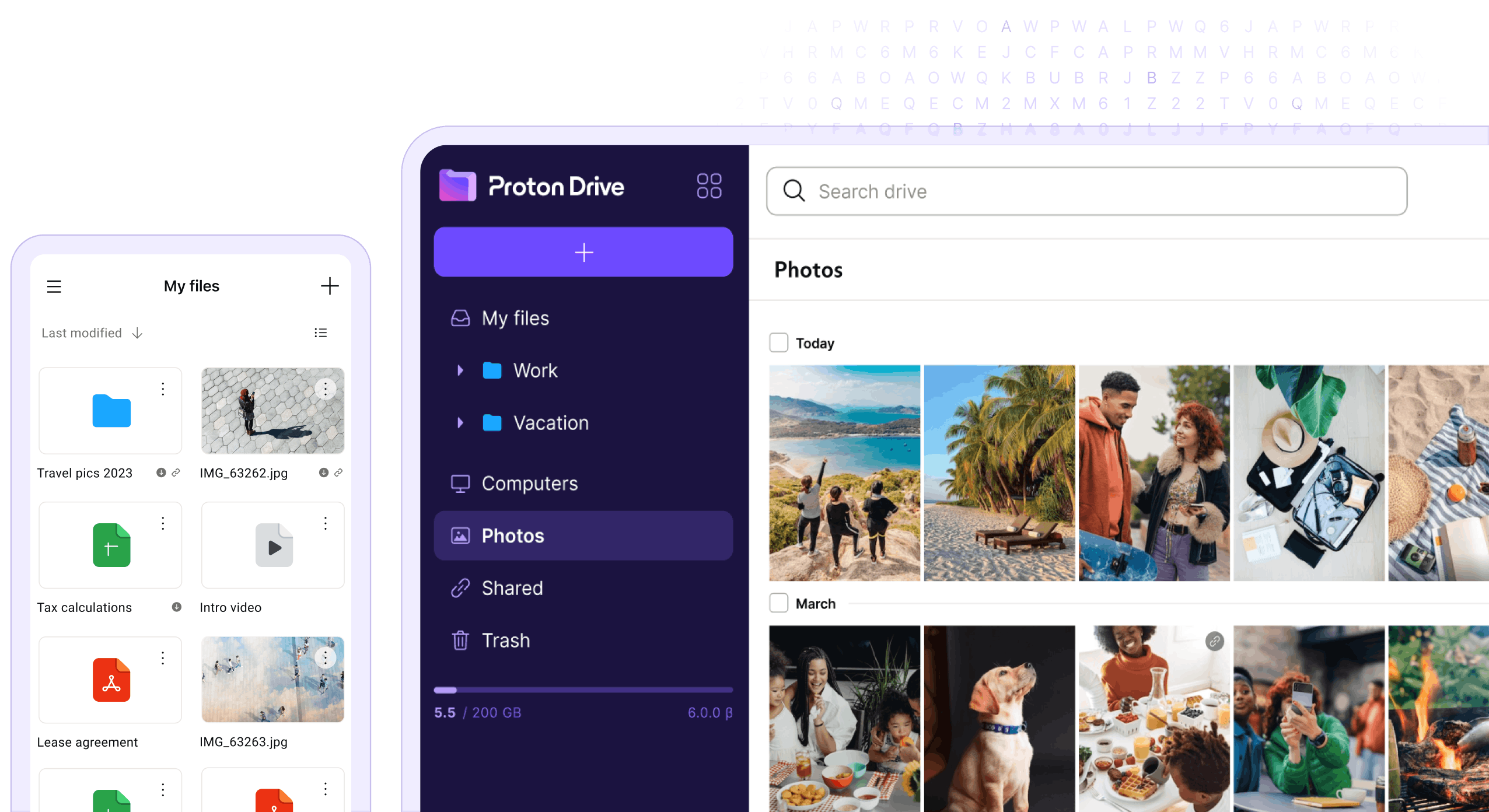 Proton Drive Support | Proton