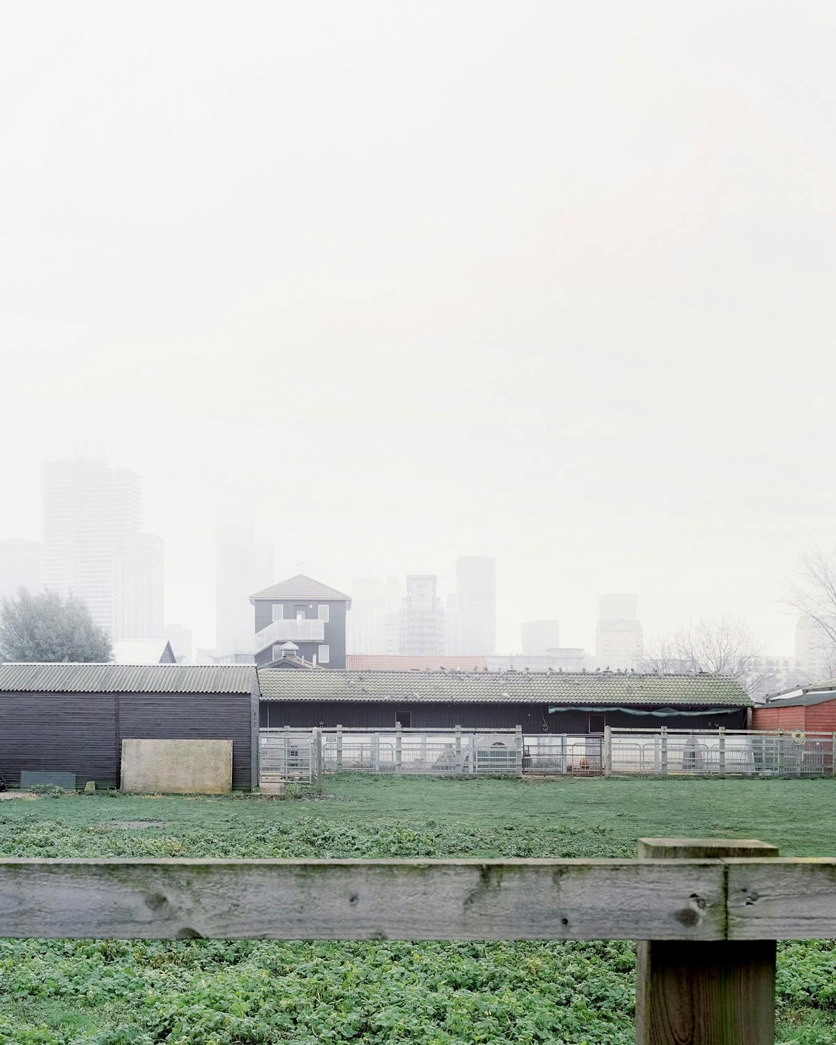 Surrey Docks Farm – PUP ARCHITECTS