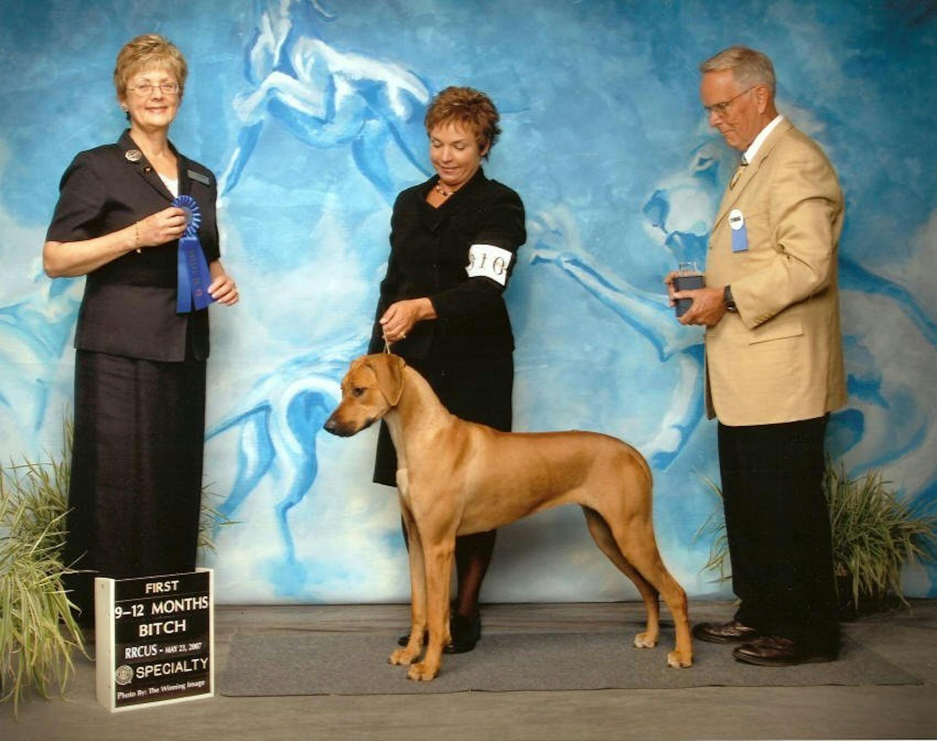 Pupukearidge Rhodesian Ridgebacks