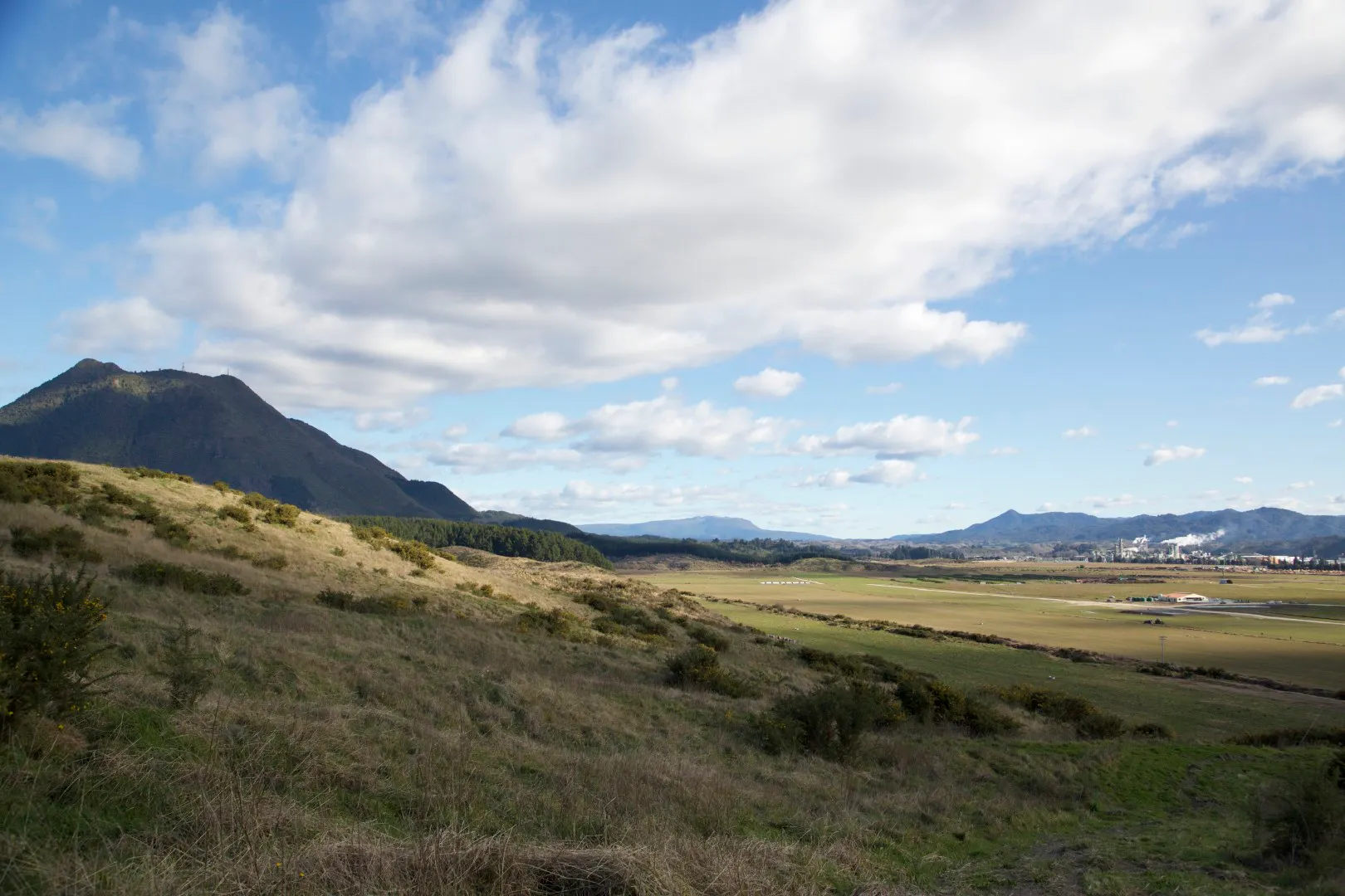 Putauaki Trust - Gallery