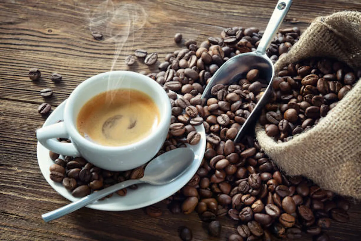 Cucarachas del café: cómo eliminarlas eficazmente
