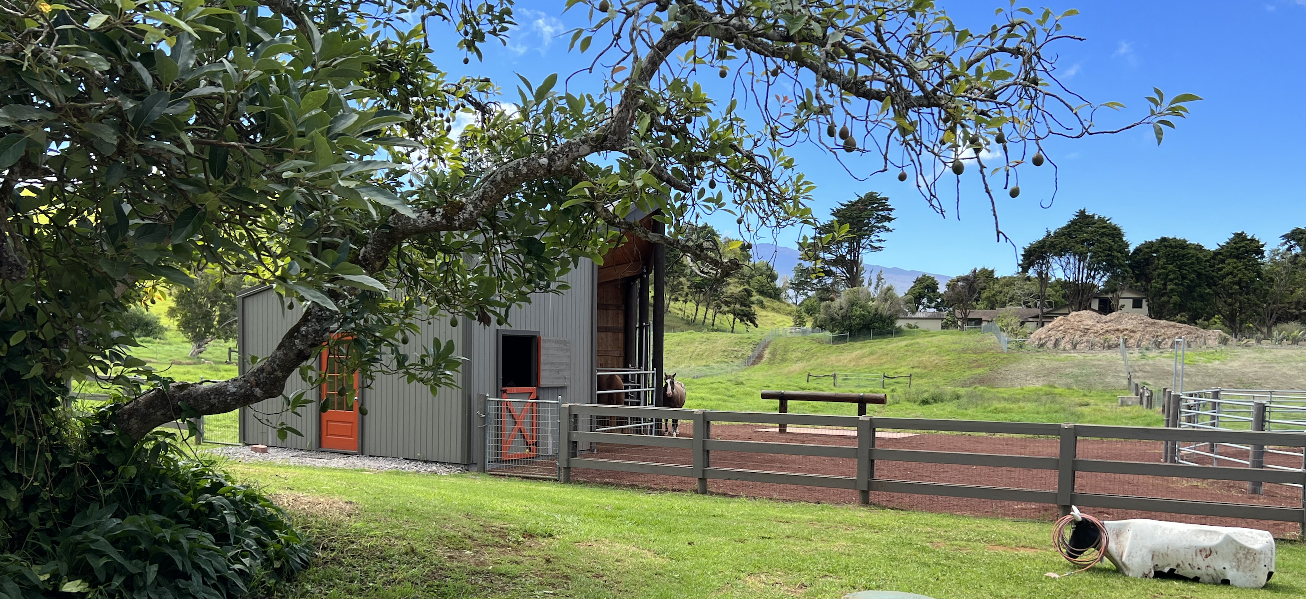 Home | Liliʻuokalani Trust