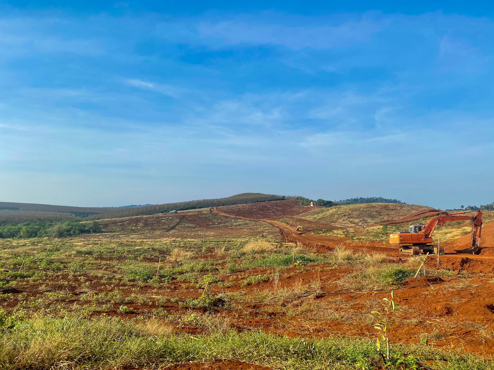 Queen Farm - Nông trại nữ hoàng