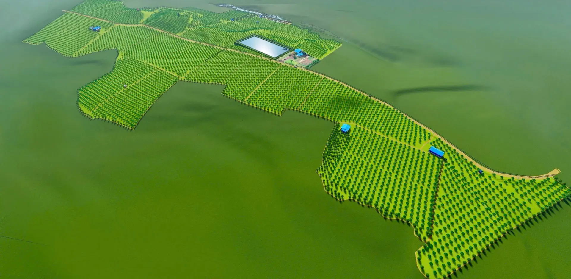 Queen Farm - Nông trại nữ hoàng