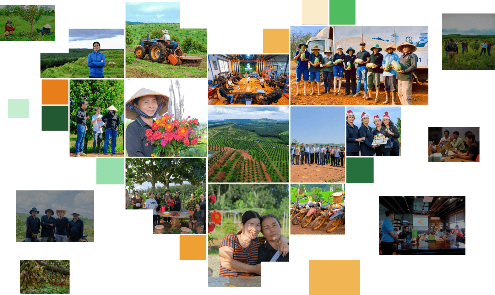 Queen Farm và mô hình trồng sầu riêng ứng dụng công nghệ cao | Queen Farm