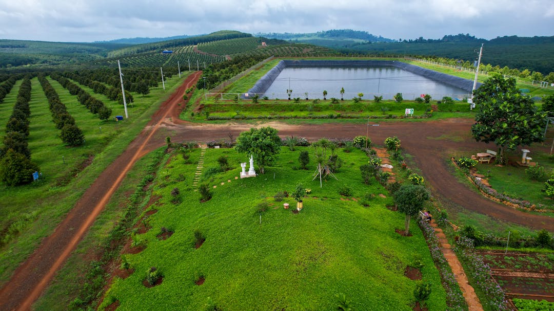 Queen Farm - Nông trại nữ hoàng
