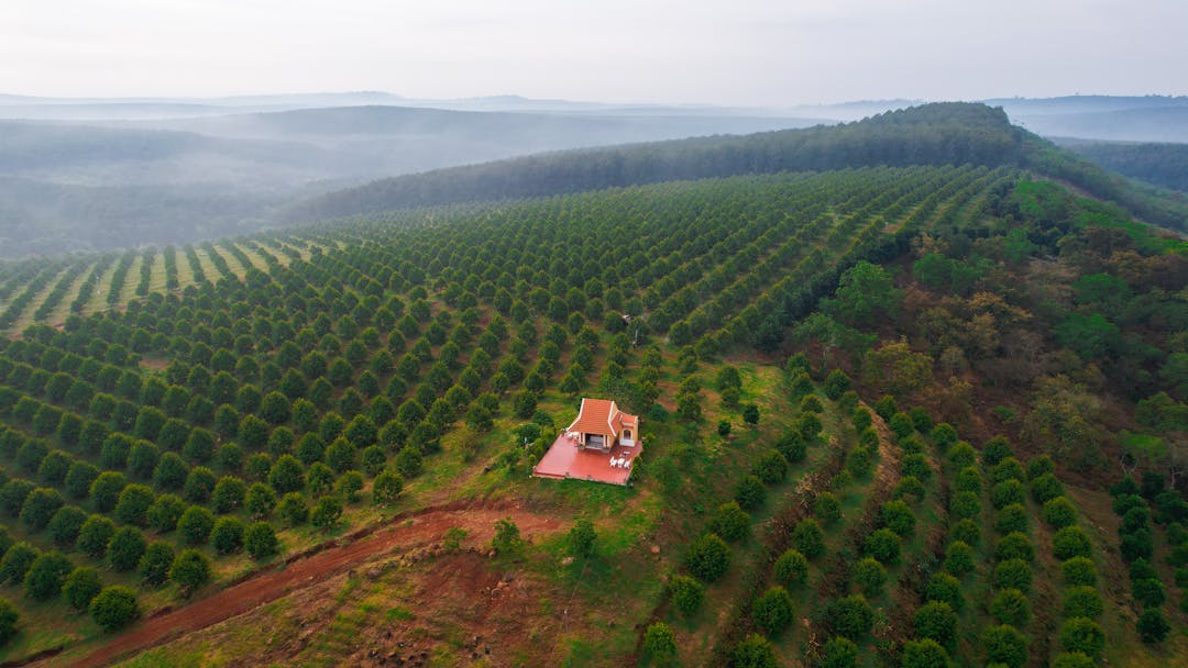 Queen Farm - Nông trại nữ hoàng