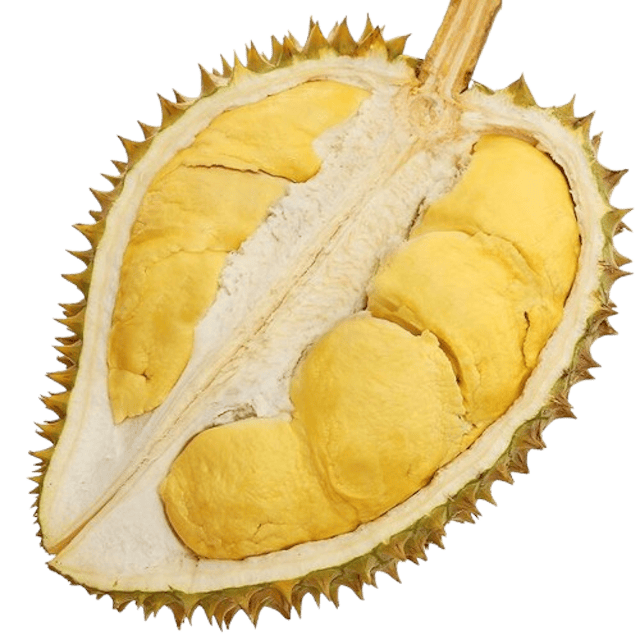 Queen Farm - Nông trại nữ hoàng