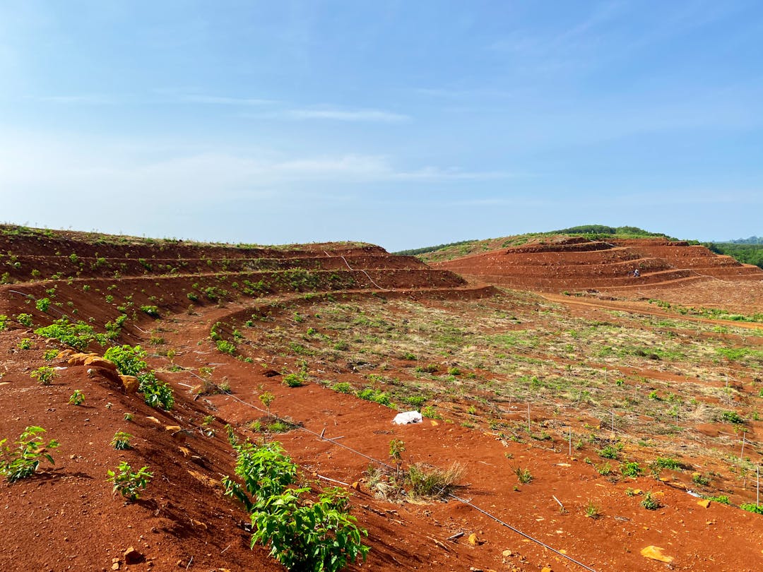 Queen Farm - Nông trại nữ hoàng