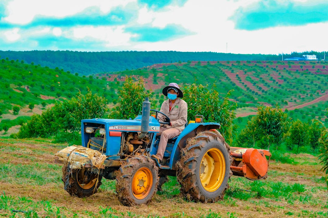 Queen Farm - Nông trại nữ hoàng