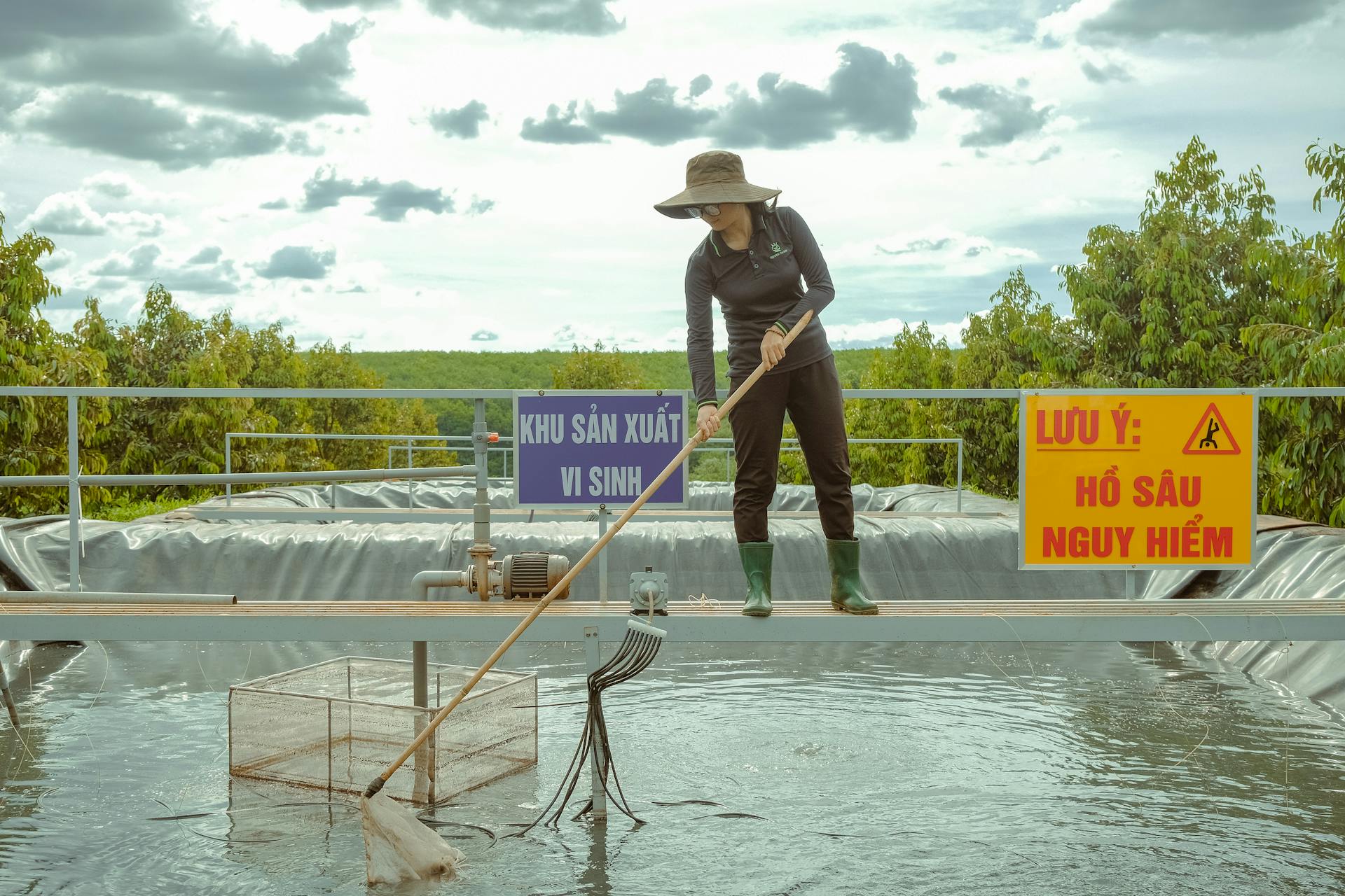 Queen Farm - Nông trại nữ hoàng