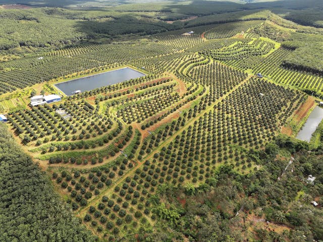 Queen Farm - Nông trại nữ hoàng