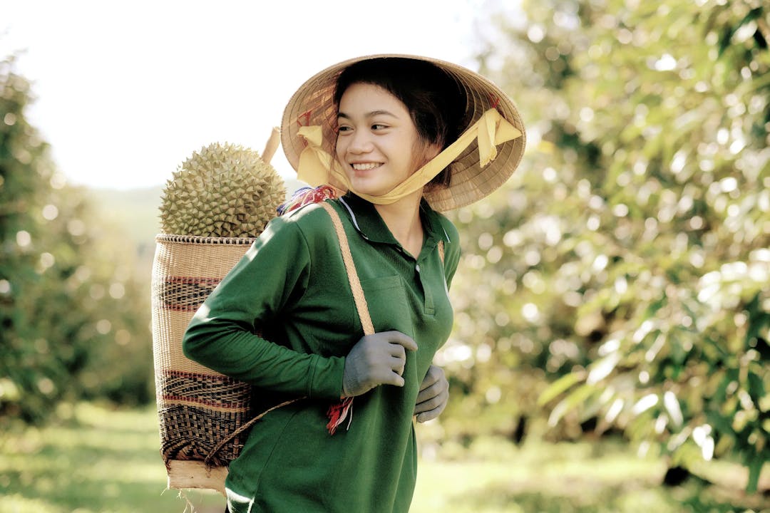 Queen Farm - Nông trại nữ hoàng