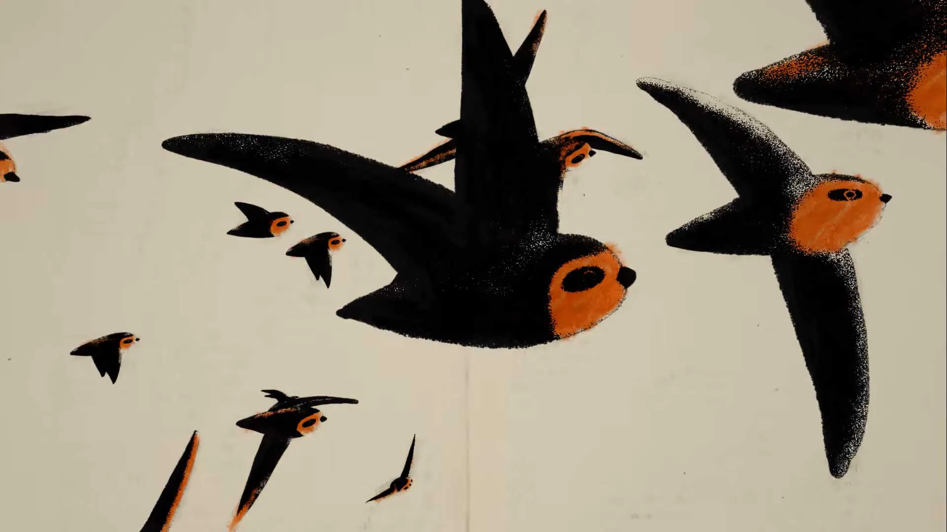 The Chimney Swift | Quickdraw Animation Society