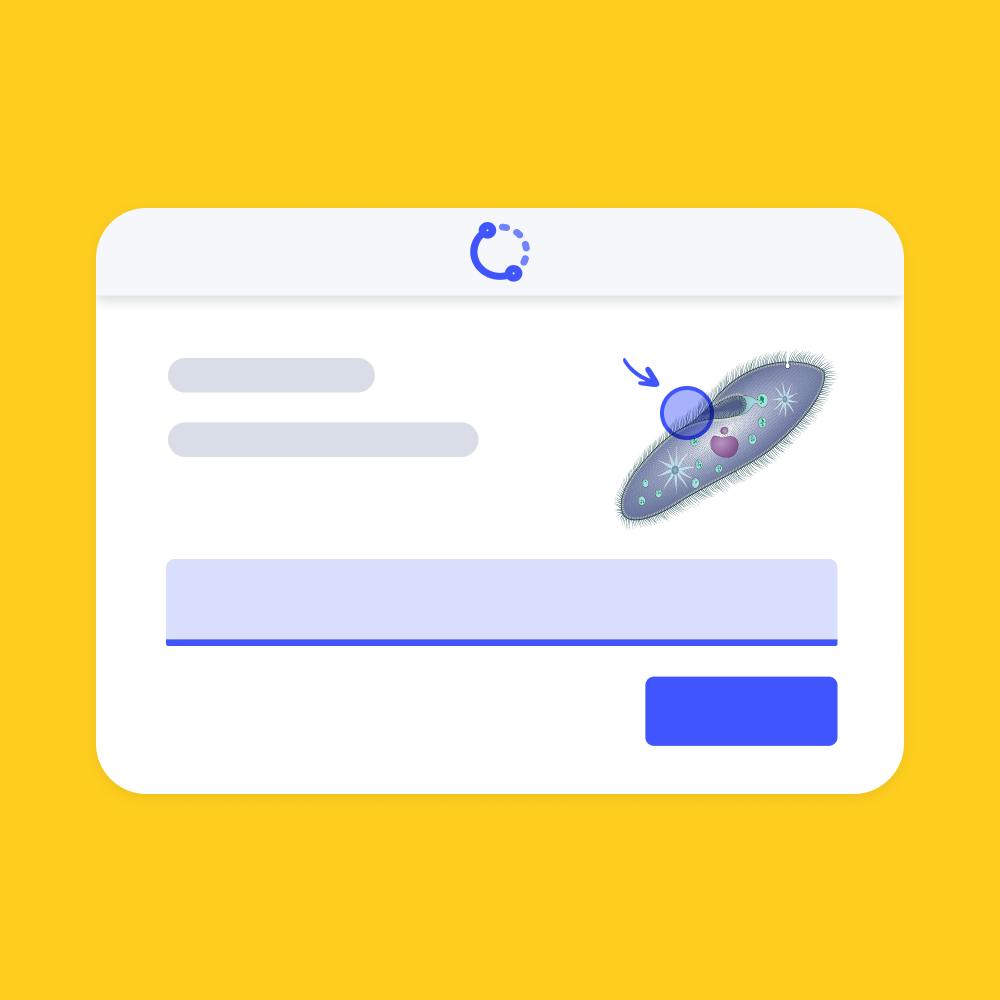 Quizlet学习模式 - 灵活的个性化学习 | Quizlet