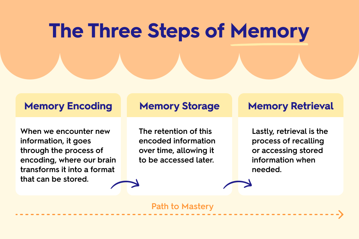 The Science Behind Spaced Repetition Learning | Quizlet