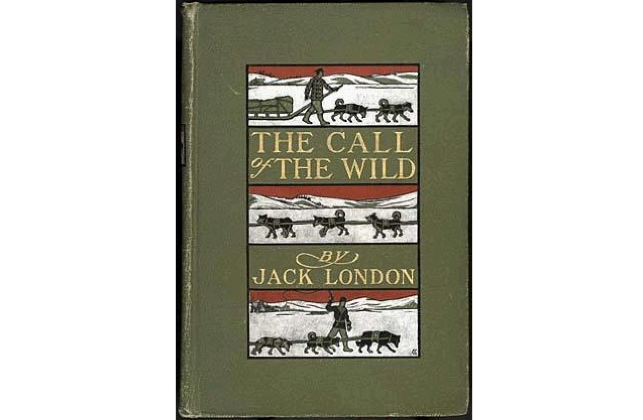 The Call of the Wild Study Guide | Quizlet