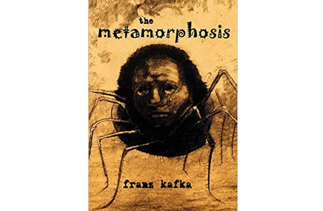 The Metamorphosis Study Guide | Quizlet