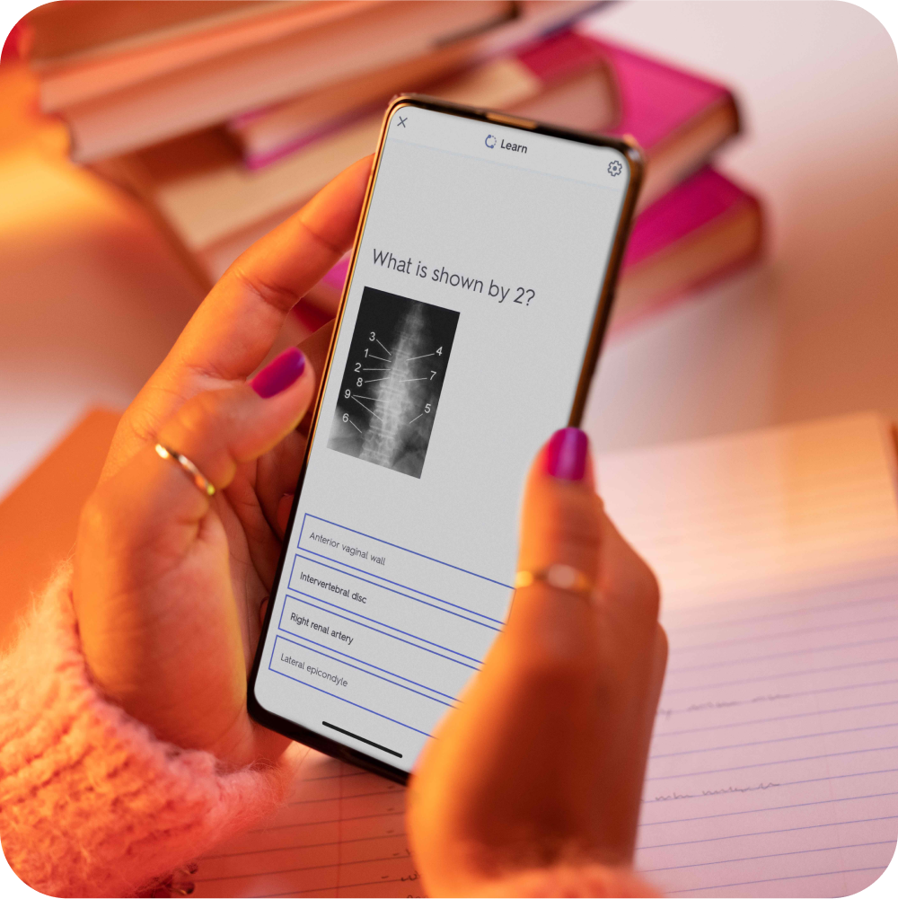 Quizlet for Uni Students | Quizlet