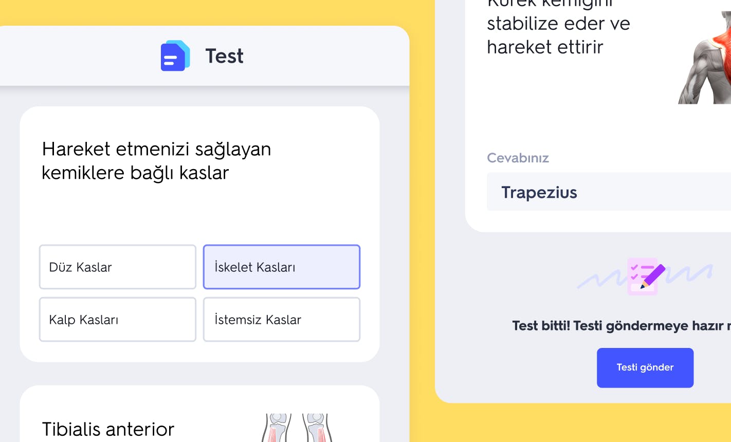 Kartlar, öğrenme araçları ve ders kitabı çözümleri | Quizlet