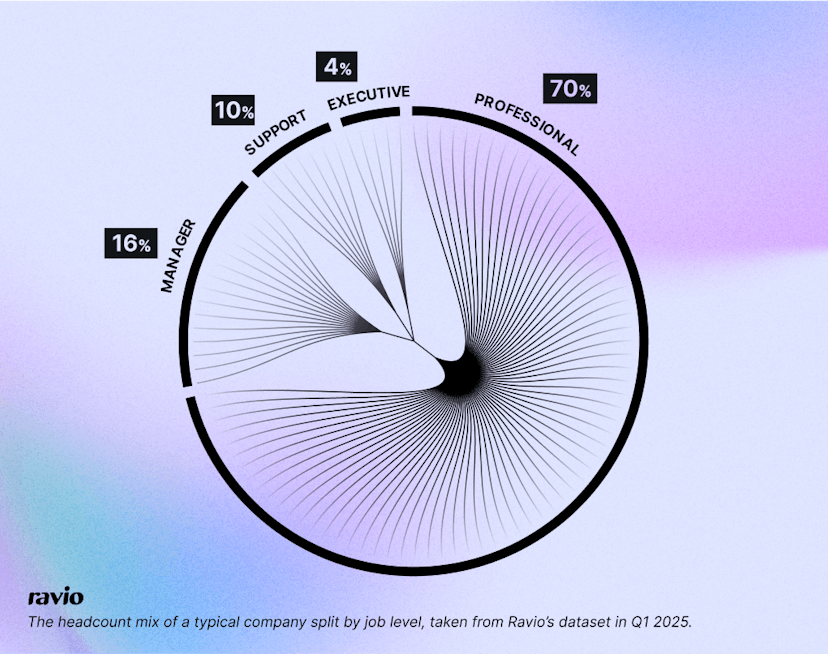 VP vs Director: Tackling job title inflation in senior leadership roles