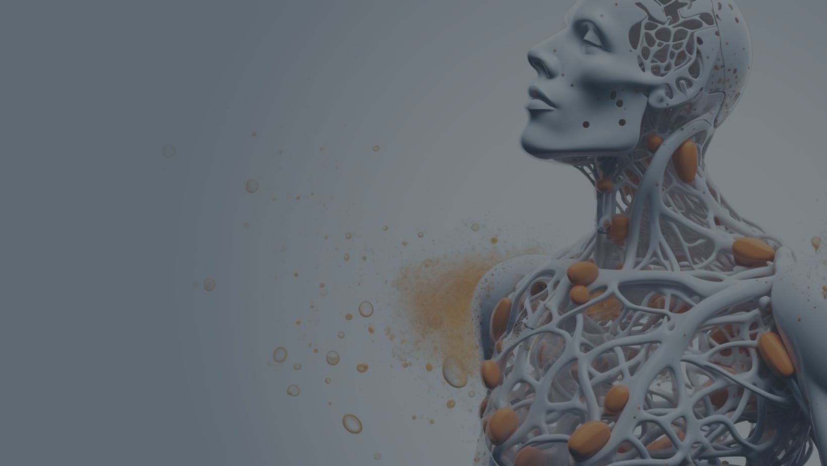 Rayscape | Resources