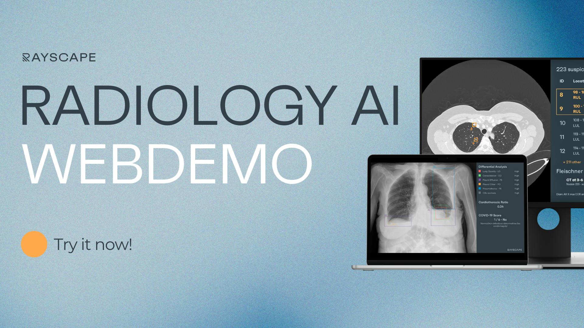 Rayscape | AI Radiology Web Demo
