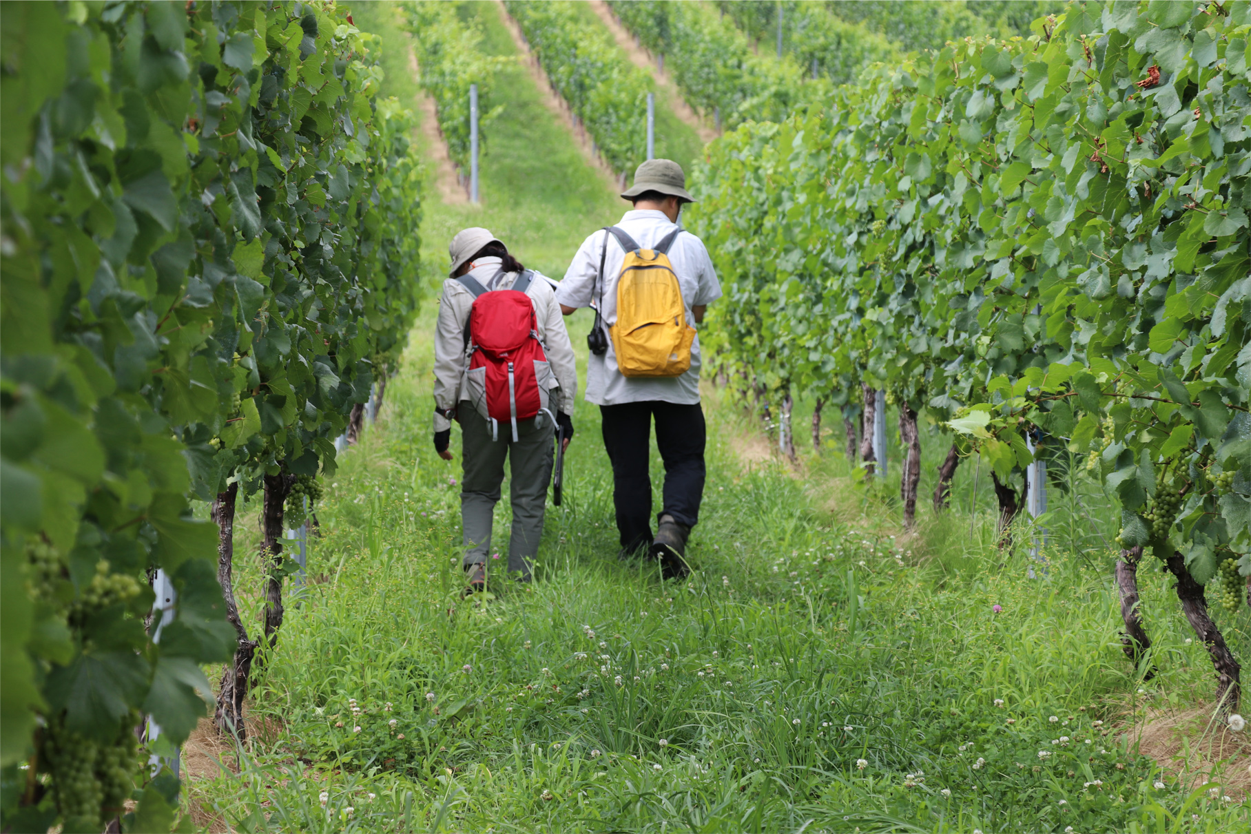 Japan’s broad alliance for biodiversity
