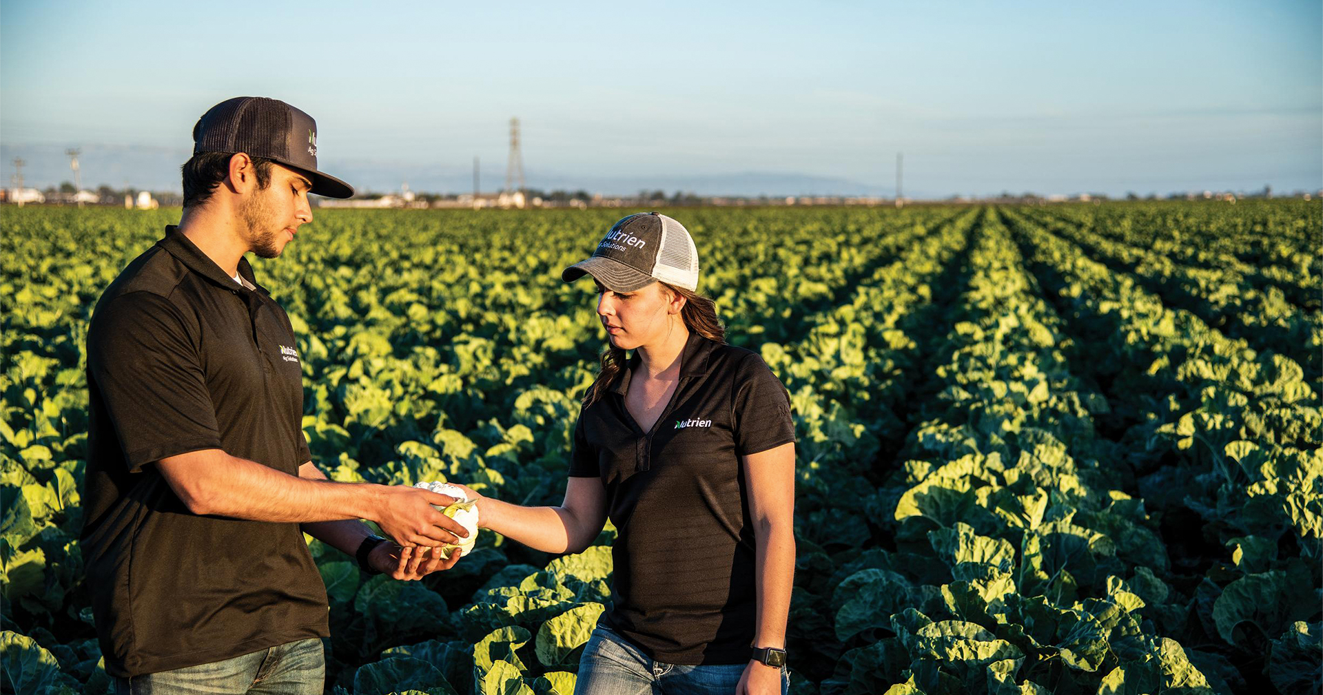 Bridging the agricultural perception divide to build a more sustainable ...