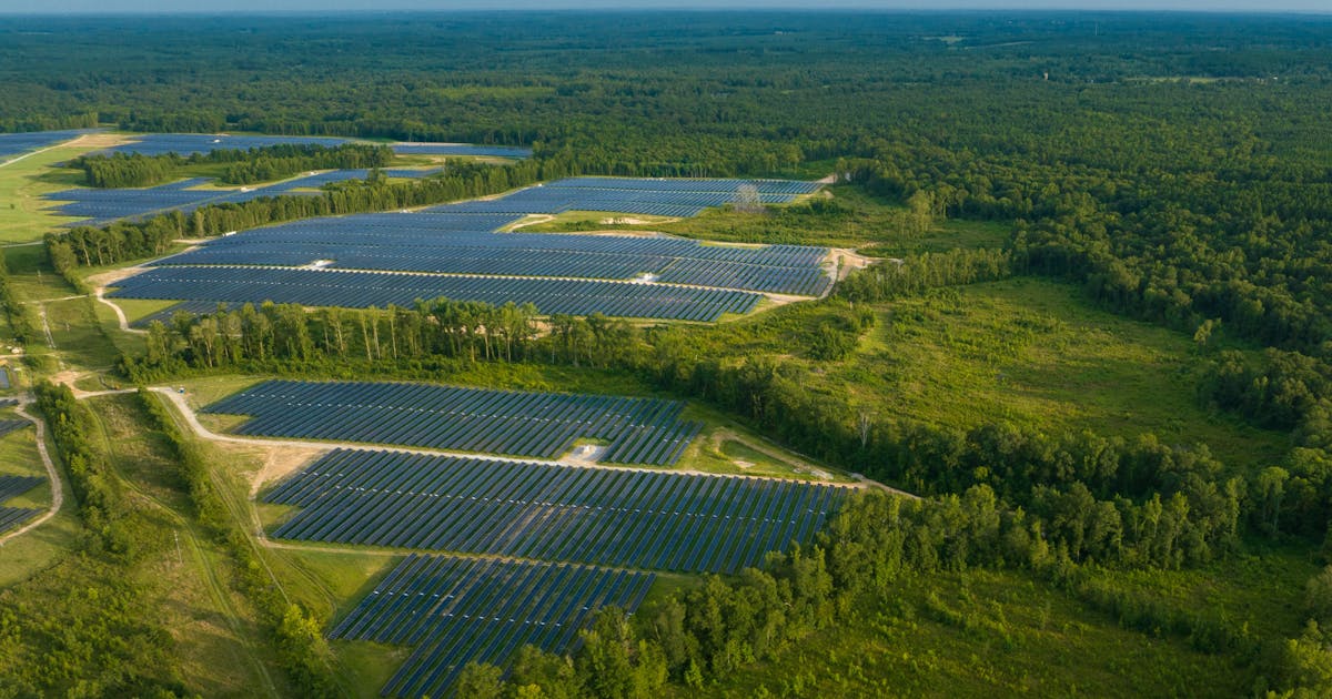 Powering The Energy Transition A Diverse Workforce
