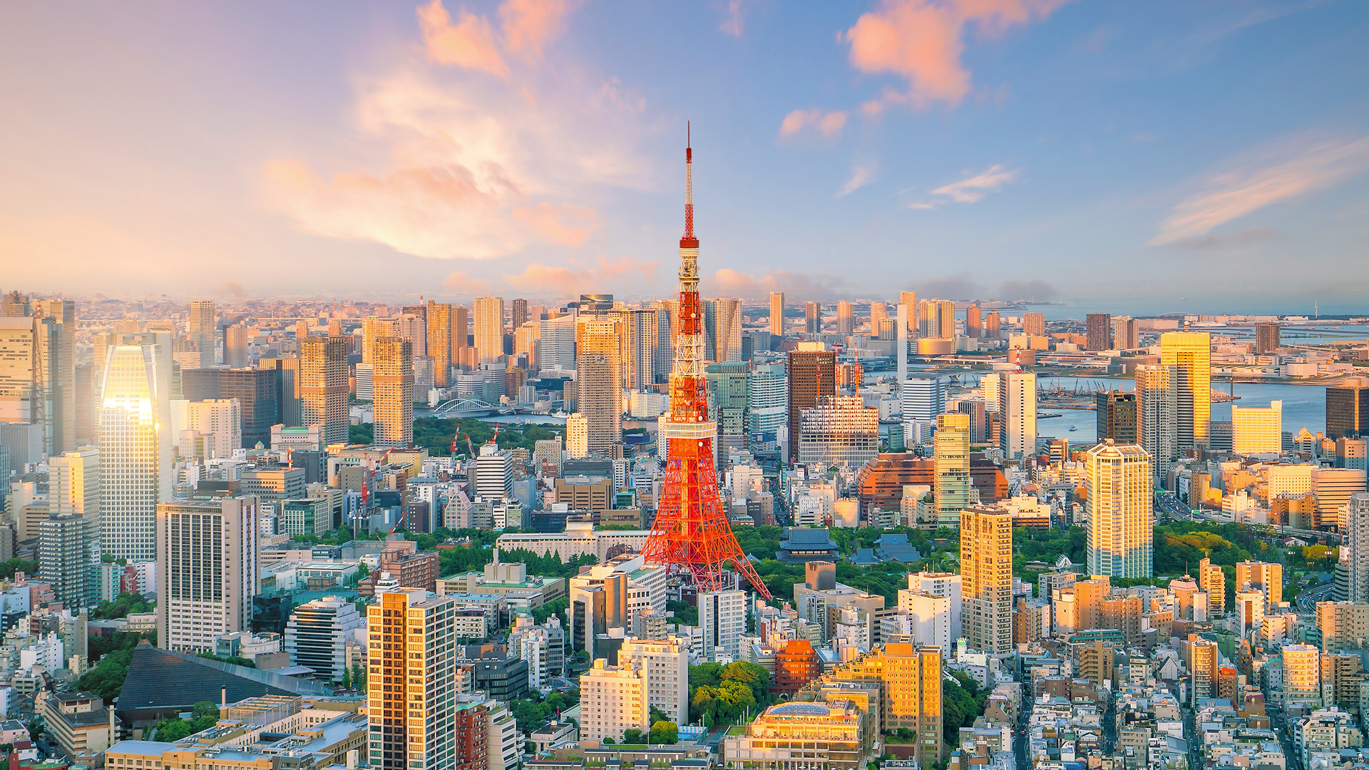 Tokyo: A Global Financial Hub