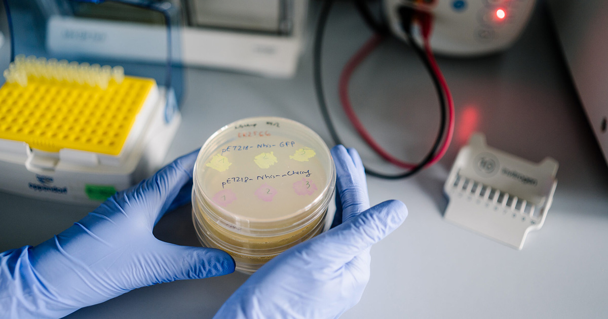 Lithuania: A growth hotspot for co-creating life sciences solutions ...