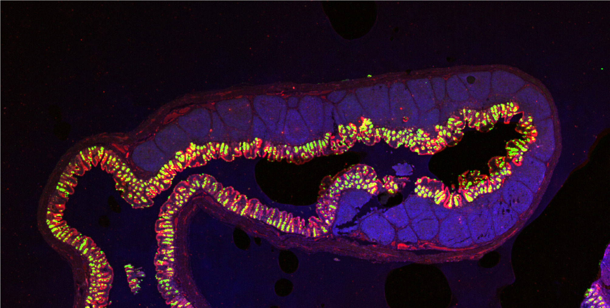 Advancing the Future of Biomolecular Imaging