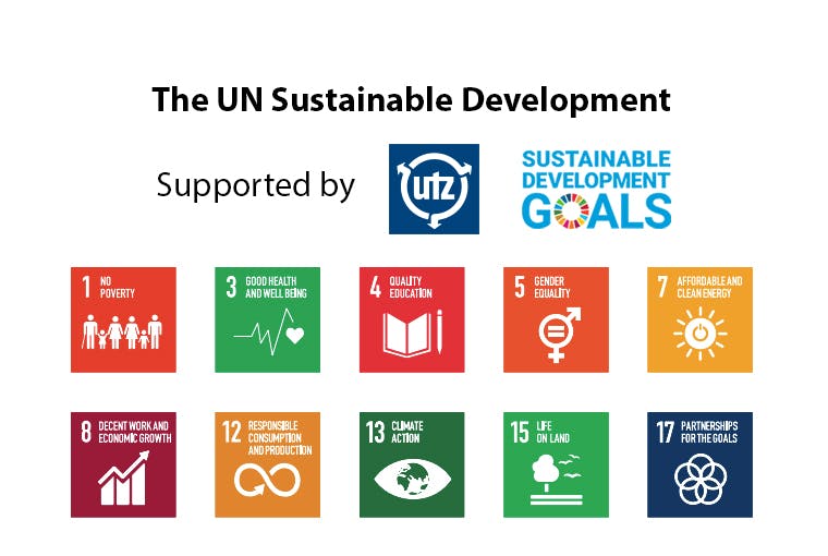 Utz Group: Reusable and innovative transport solutions