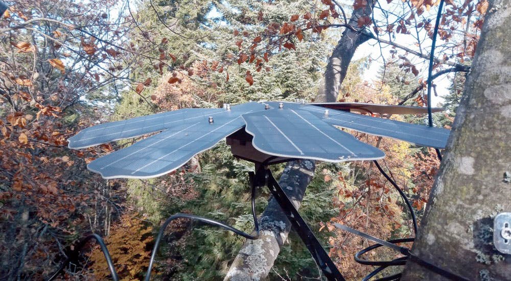 Five Ways We Can Stem Global Warming