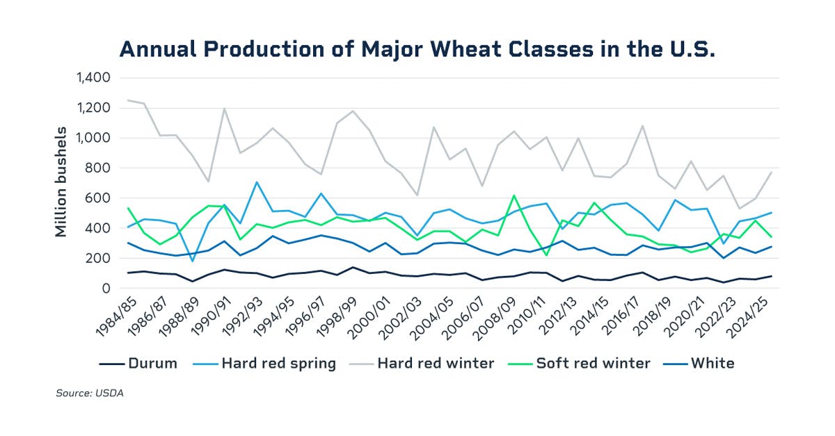 From winter to spring: shifting dynamics in U.S. wheat production