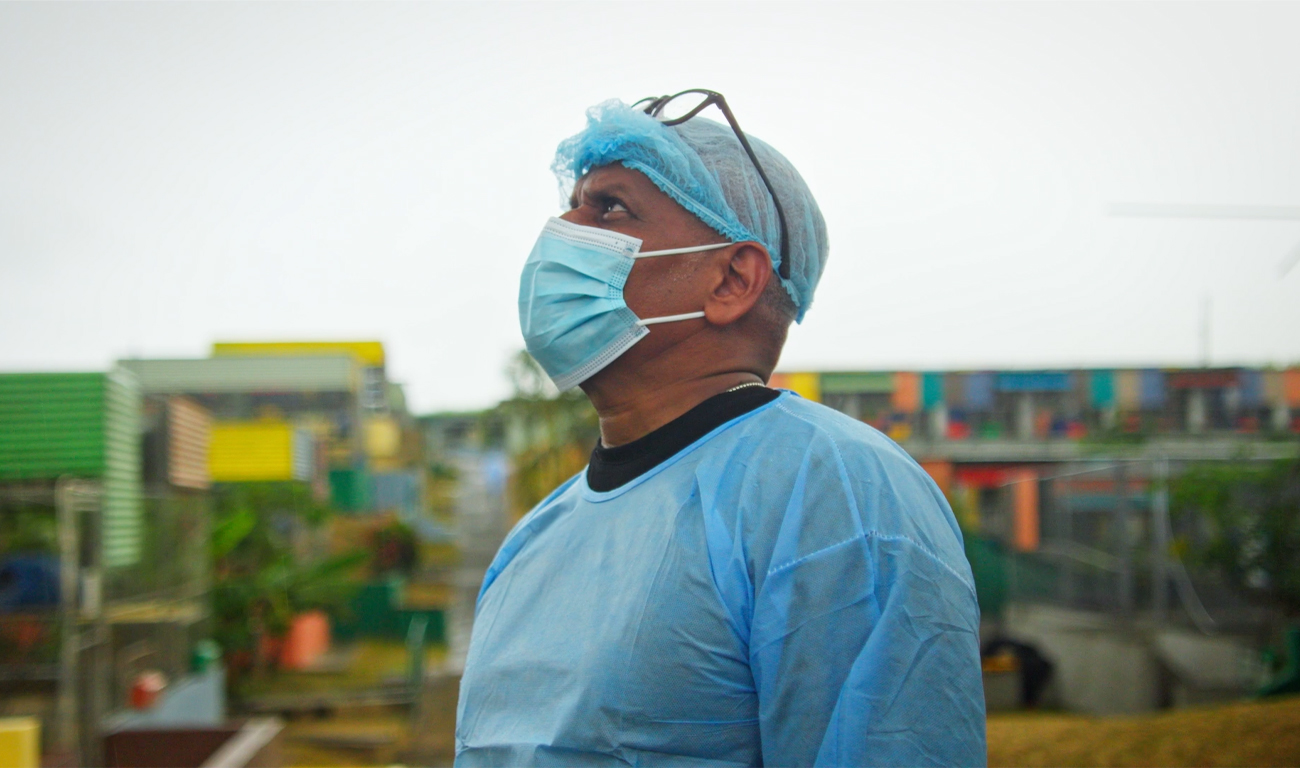 Caring for Life: Bioculture’s Journey from Biodiversity to Global ...