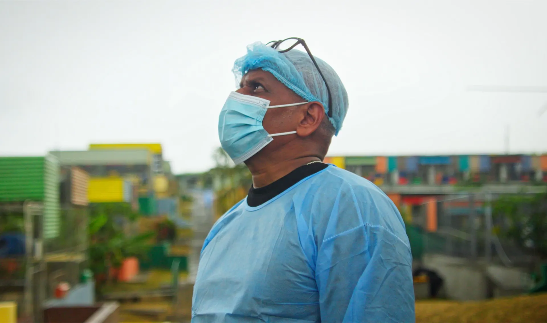 Caring for Life: Bioculture’s Journey from Biodiversity to Global ...