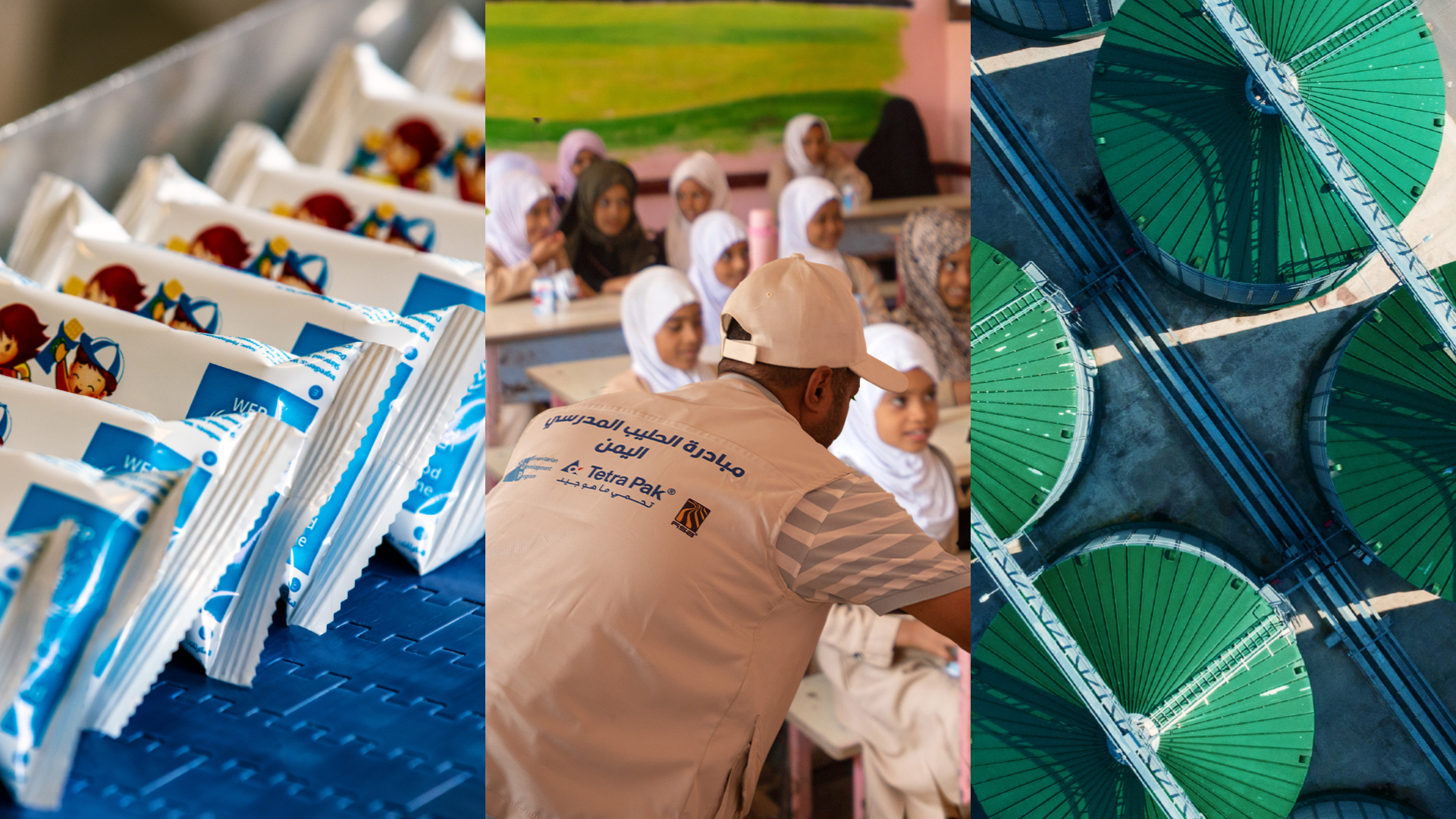 Private Sector Action on the SDGs is Imperative