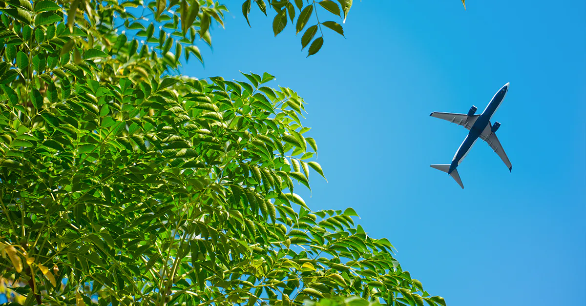 Aviation’s Decarbonisation: The Business Travel Opportunity