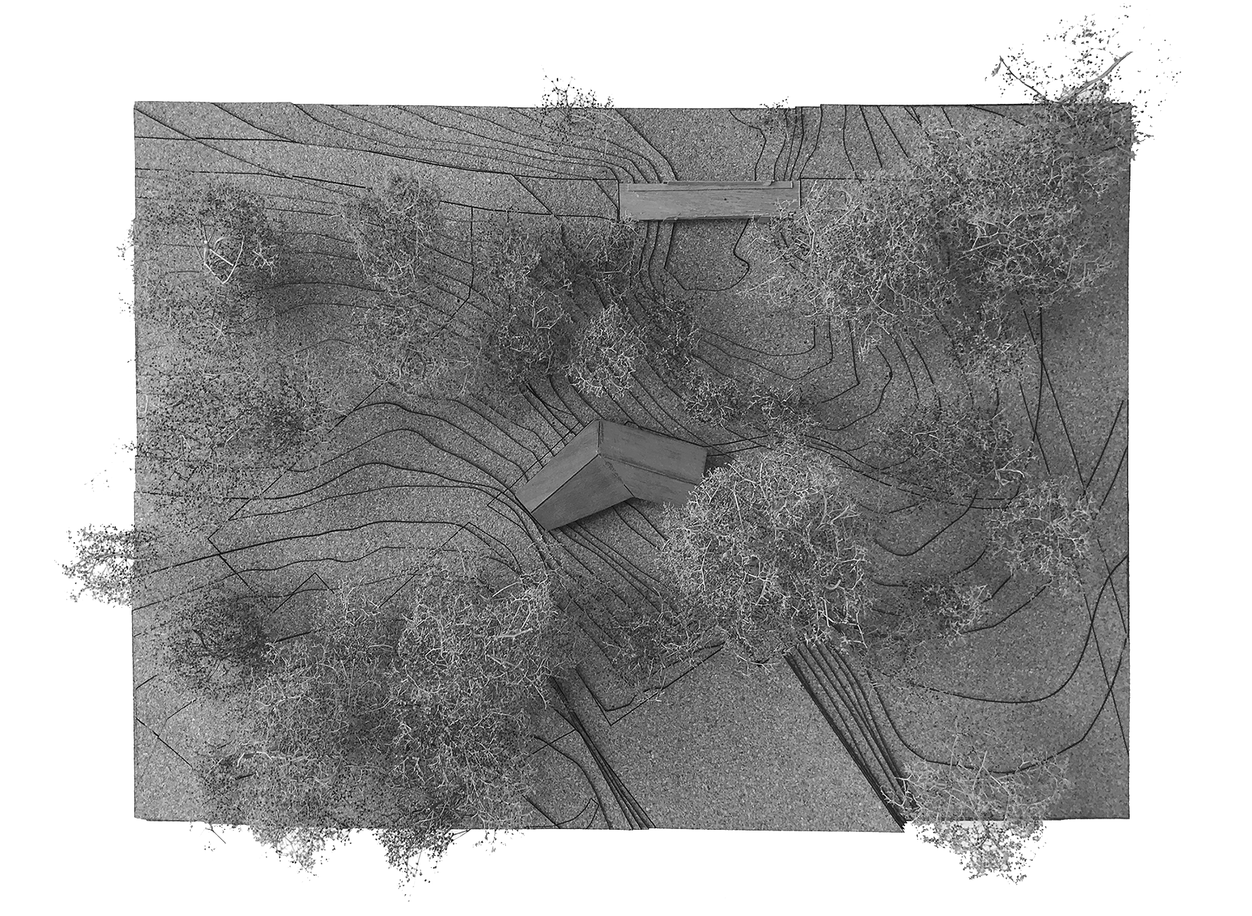 OFA Memorial Pavilion | Reed Watts