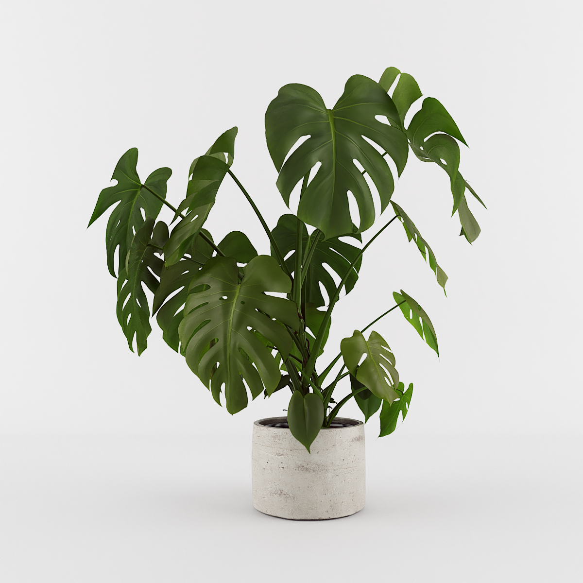 PLANTA COSTELA DE ADÃO 04 | RENDERIZE.