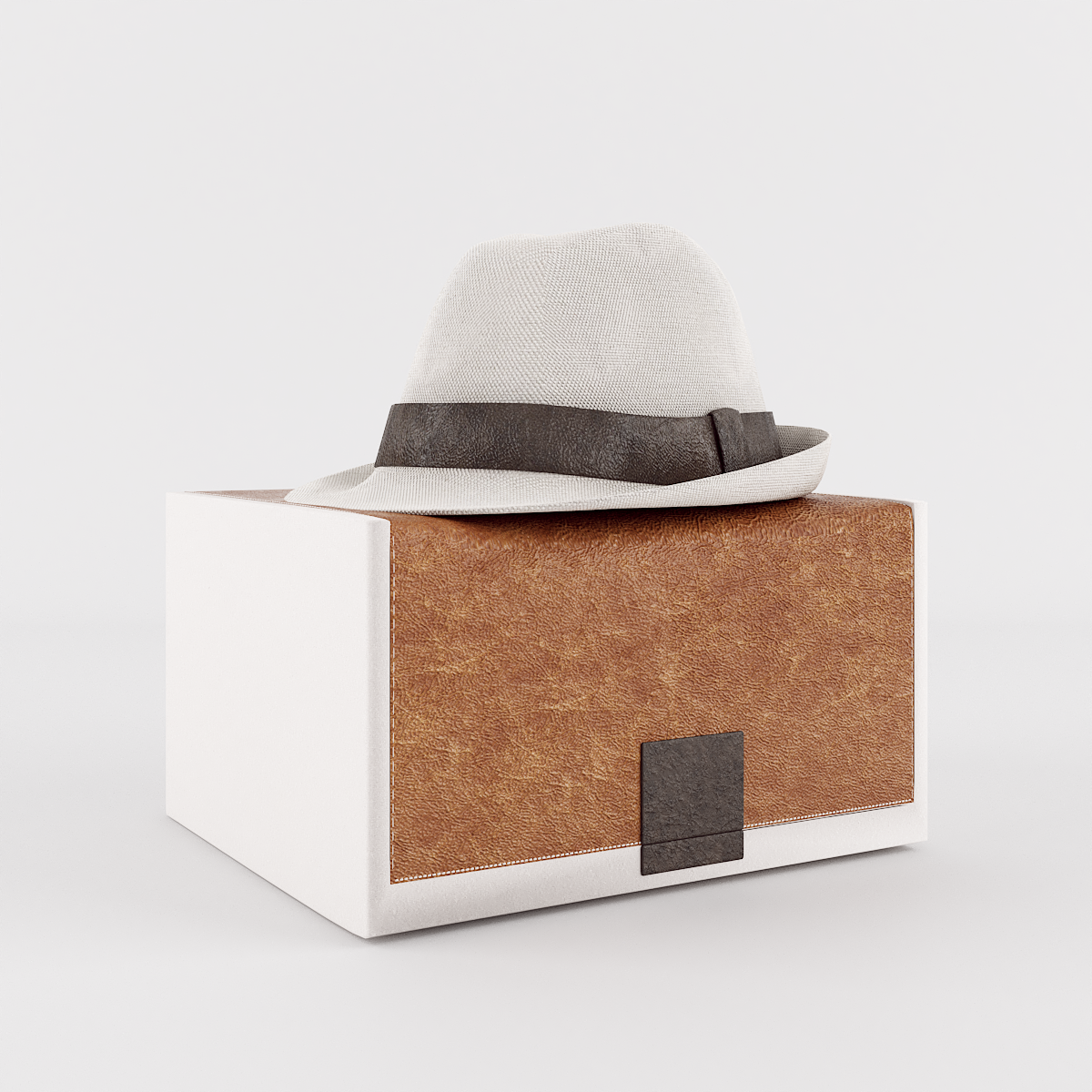 CHAPÉU E CAIXA | RENDERIZE.